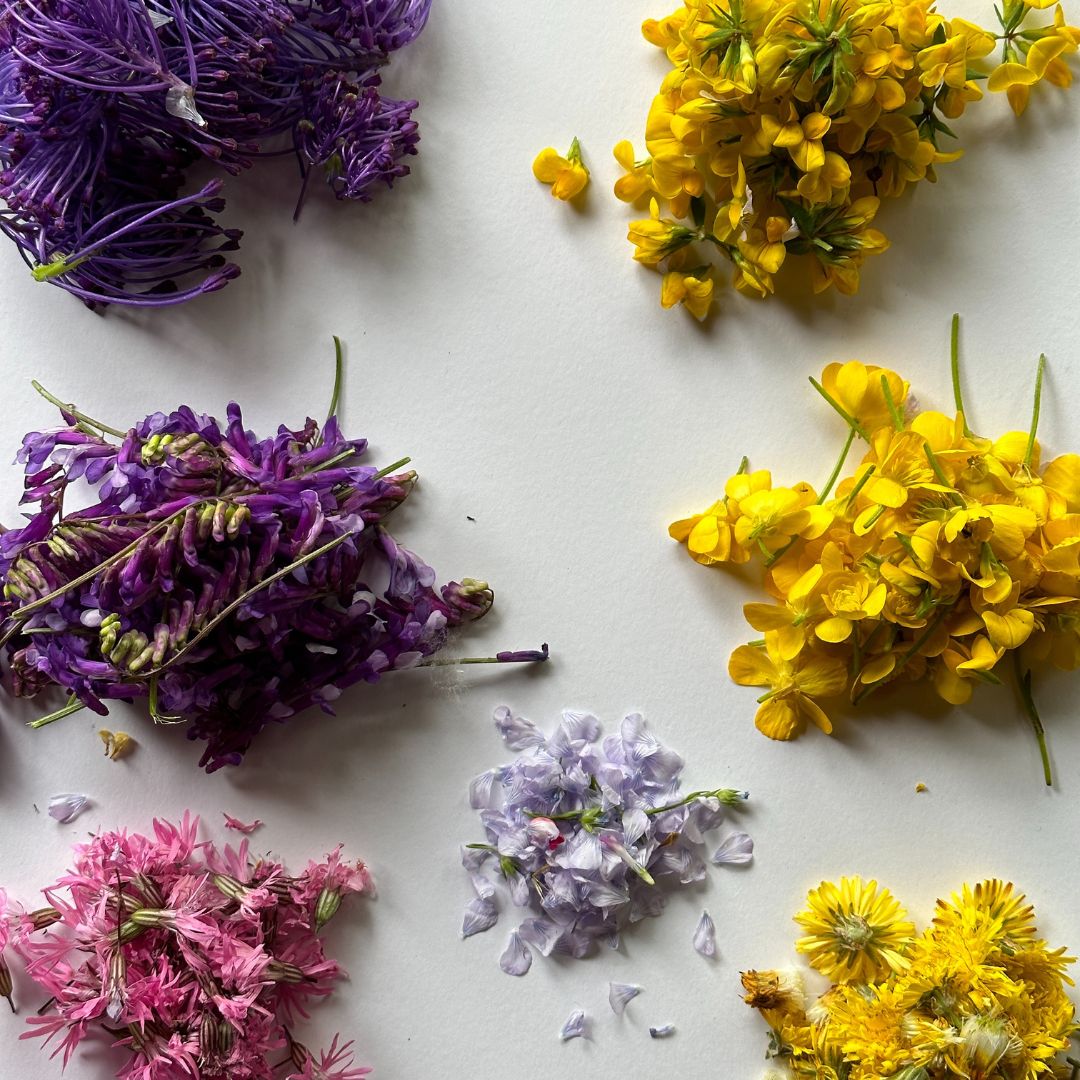 SUSTAINABLE PHOTOGRAPHY WITH ORGANIC PRODUCTS - Alba Cid
